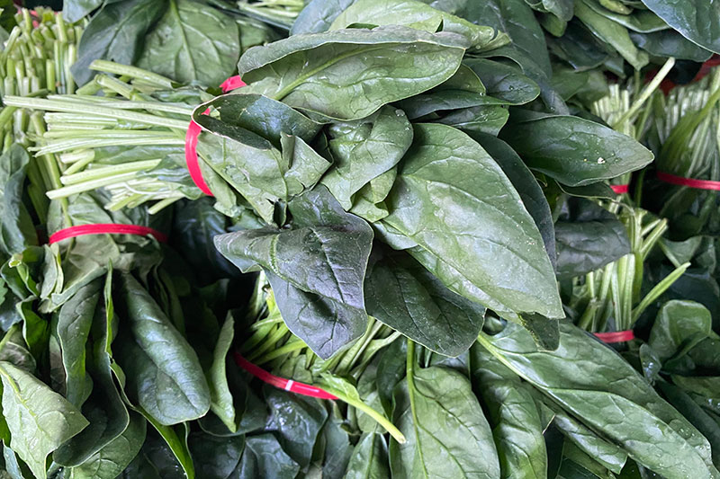 Spinach – 1 bunch – Local Harvest Delivery