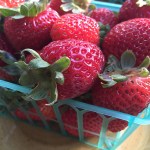 Local Harvest Delivery – Bringing The Farmers Market To Your Door